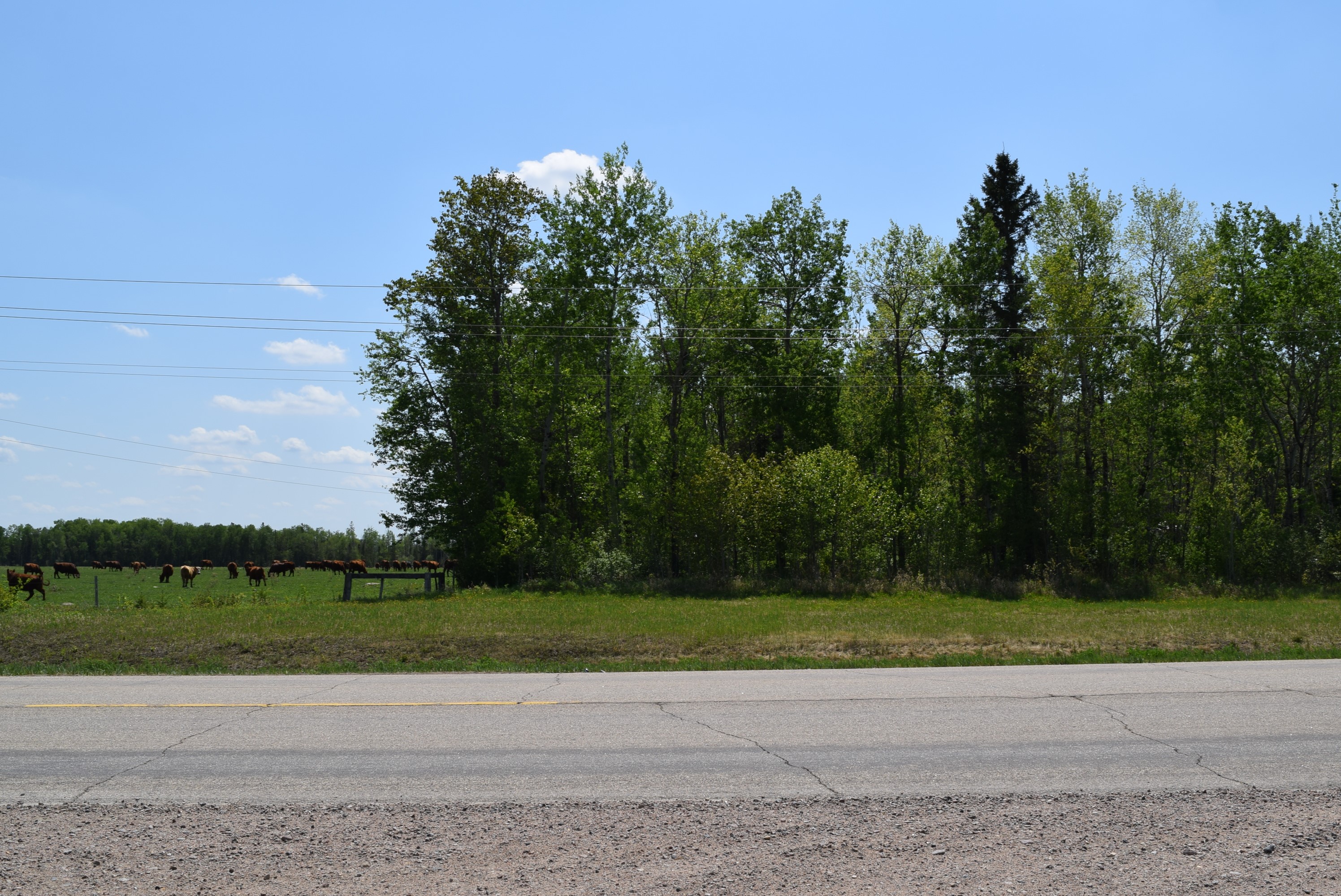 Locations Hub - 4 Lane Highway (Beausejour to Winnipeg)